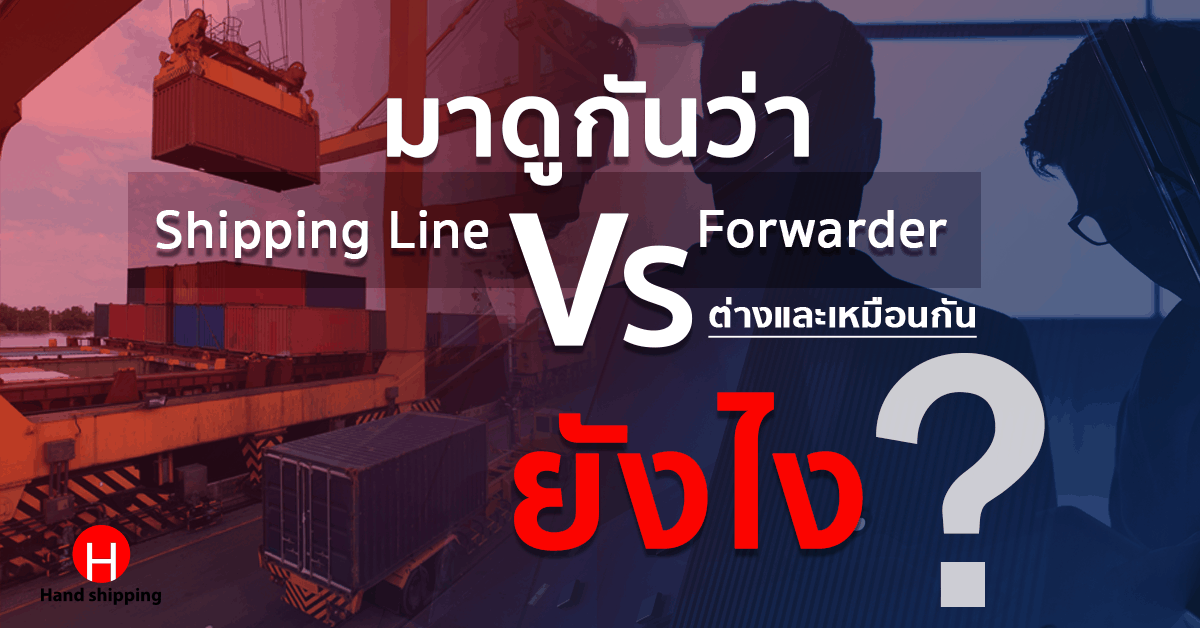 Shipping จีน ทำความรู้จัก Shipping Line & Forwarder แตกต่างกันอย่างไร
